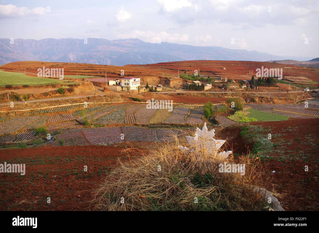 Red soil land High Resolution Stock Photography and Images - Alamy