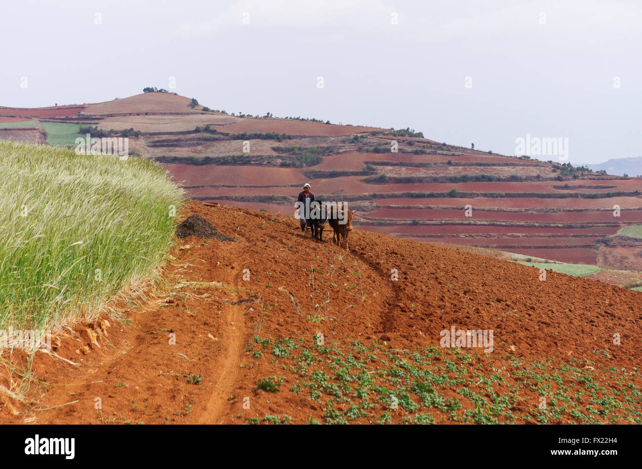 Yunnan province fields hi-res stock photography and images - Alamy