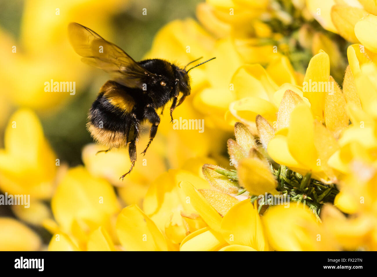 Aberarth hi-res stock photography and images - Alamy