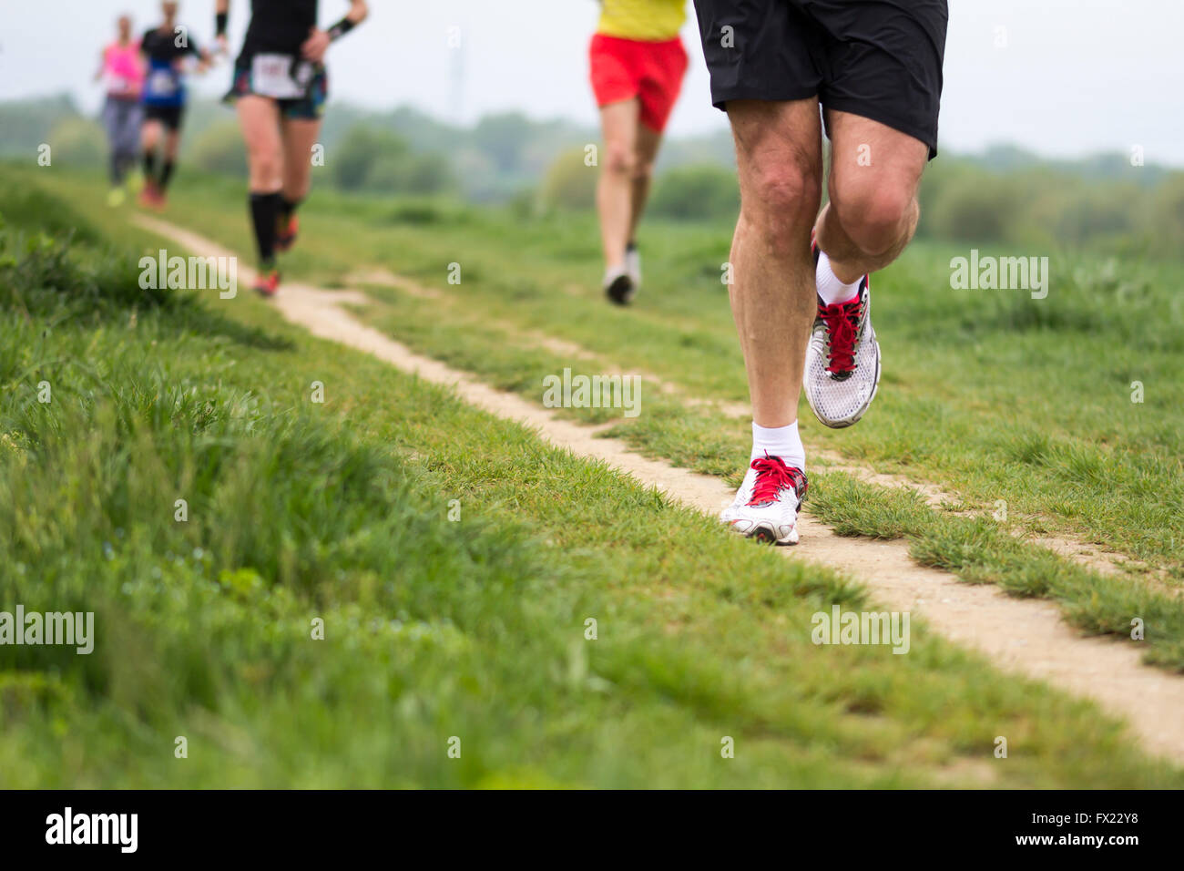 Cross country running hi-res stock photography and images - Alamy
