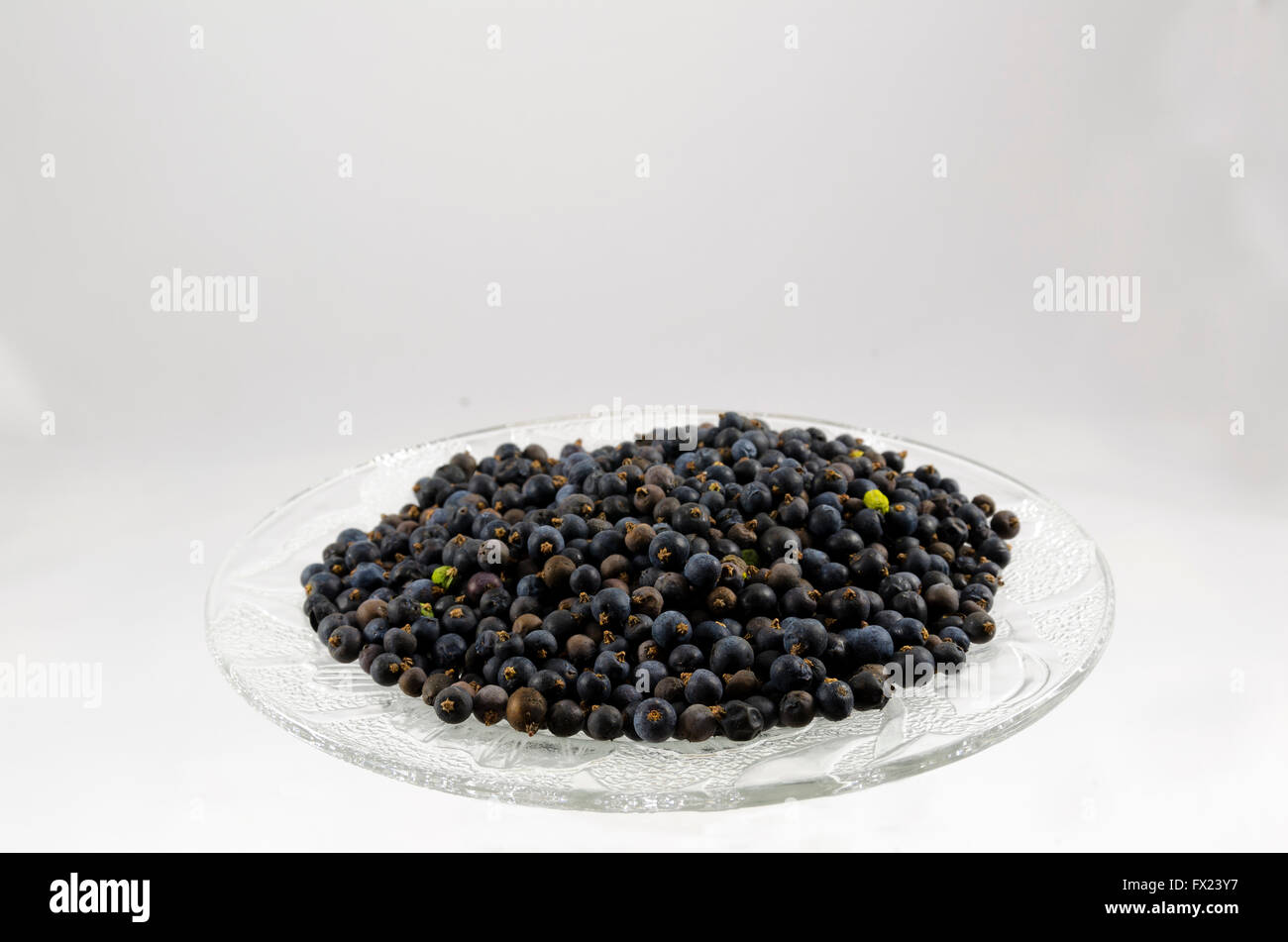 Bitter berry hi-res stock photography and images - Alamy