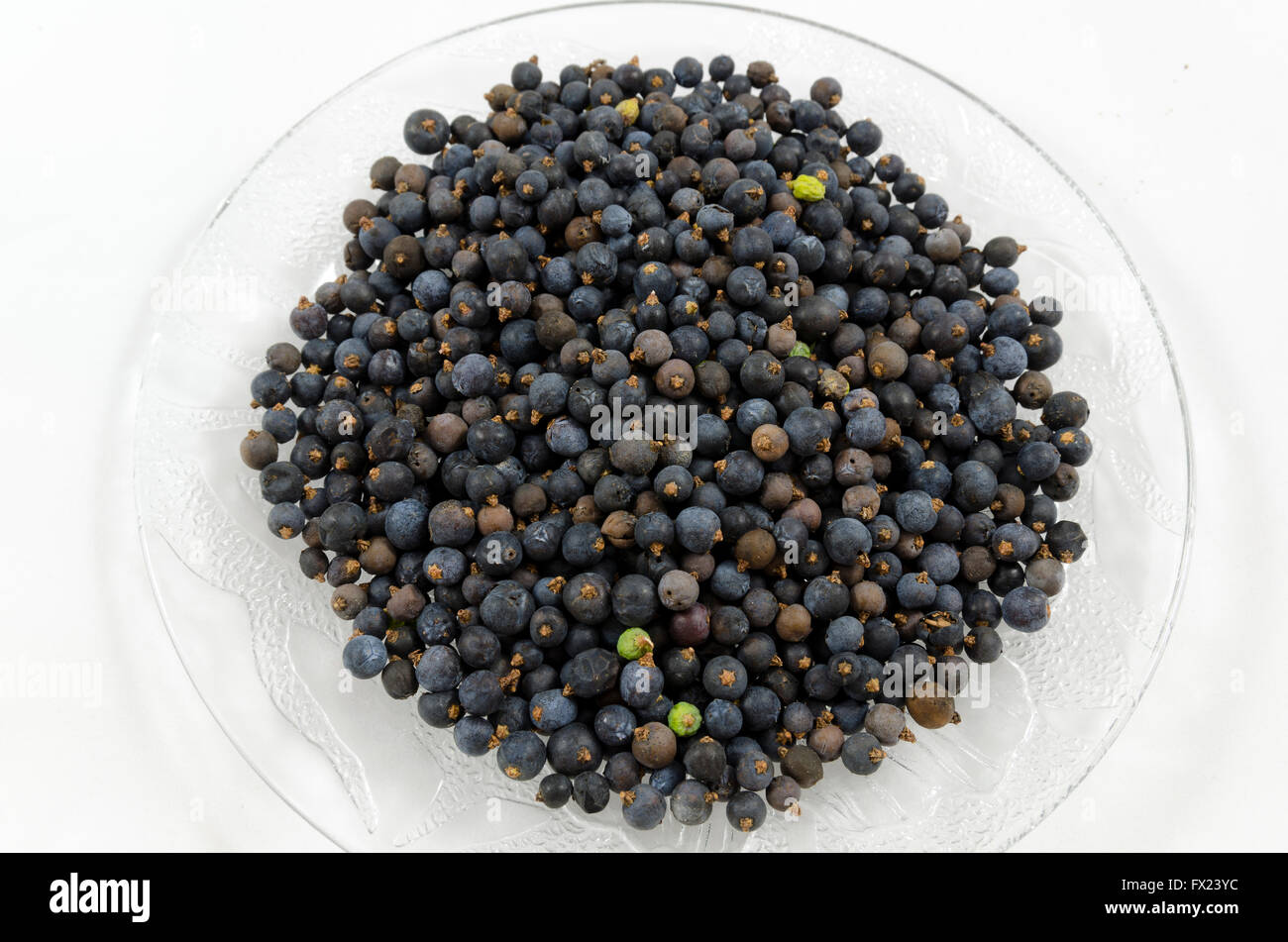 Dried juniper berry on a plate isolated on white,picture from the North ...