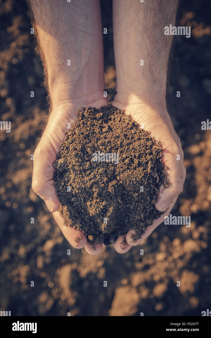 Hands holding dirt hi-res stock photography and images - Alamy