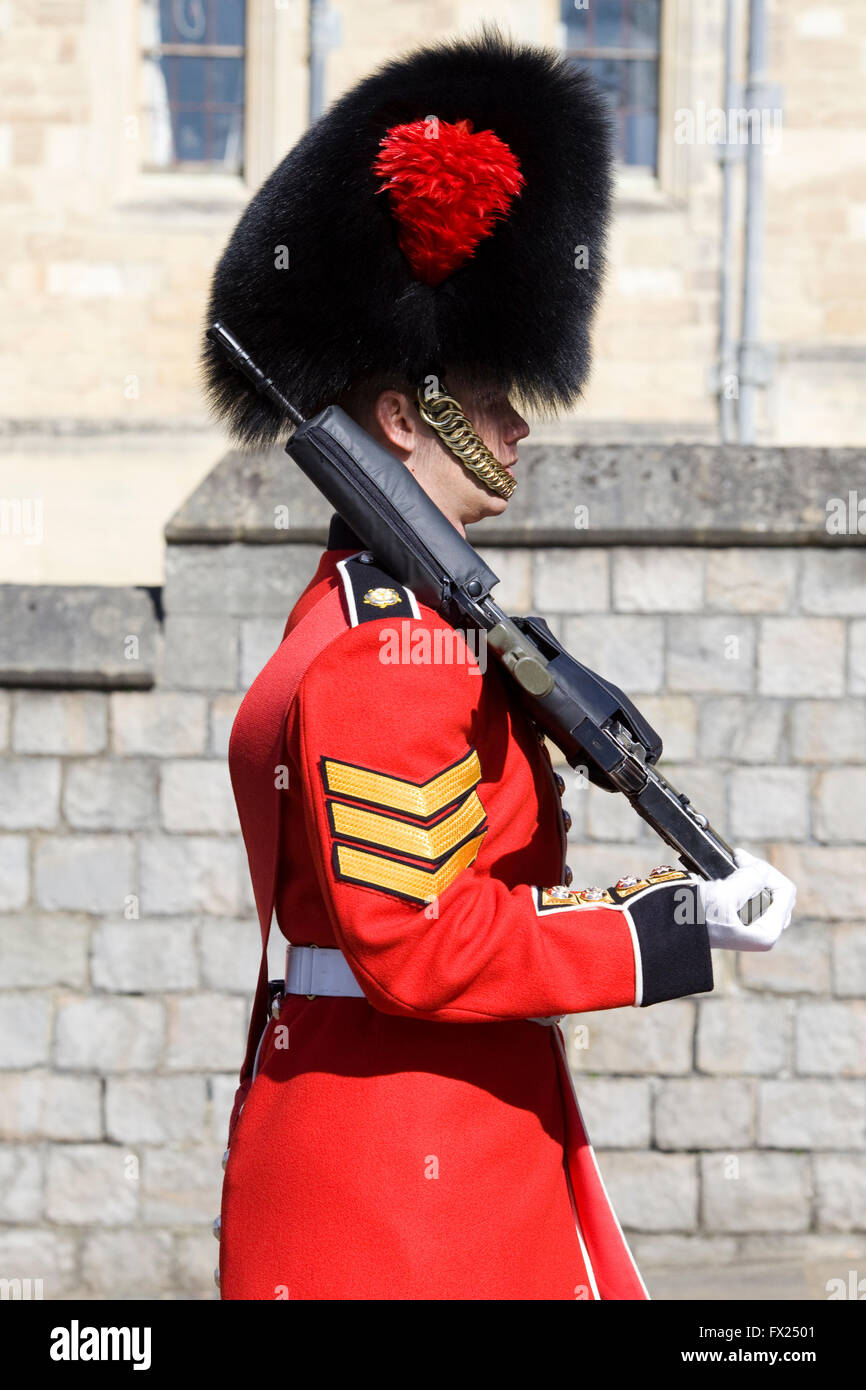 Majesty guard hi-res stock photography and images - Alamy