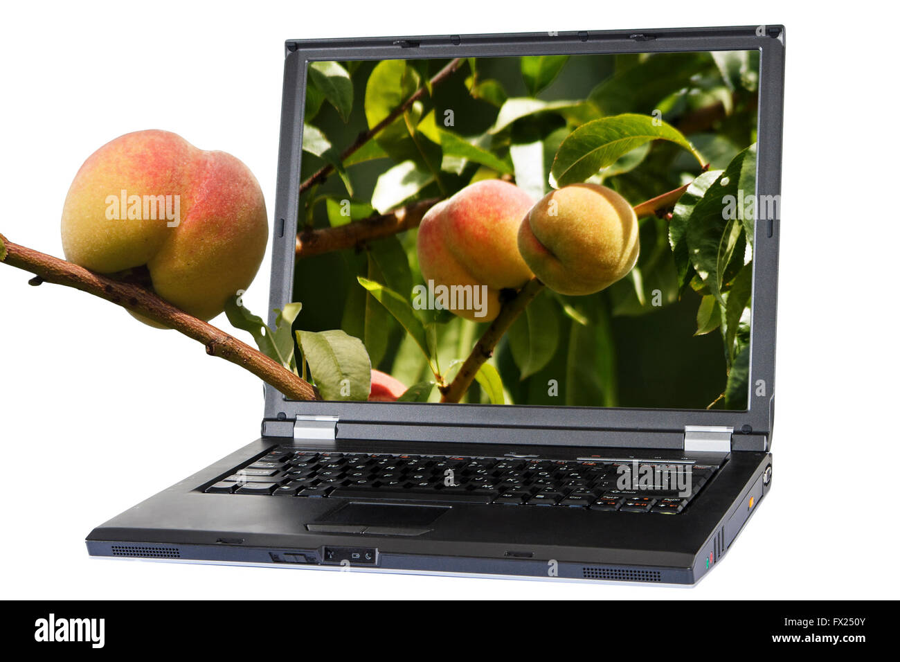 Minicomputer hi-res stock photography and images - Alamy