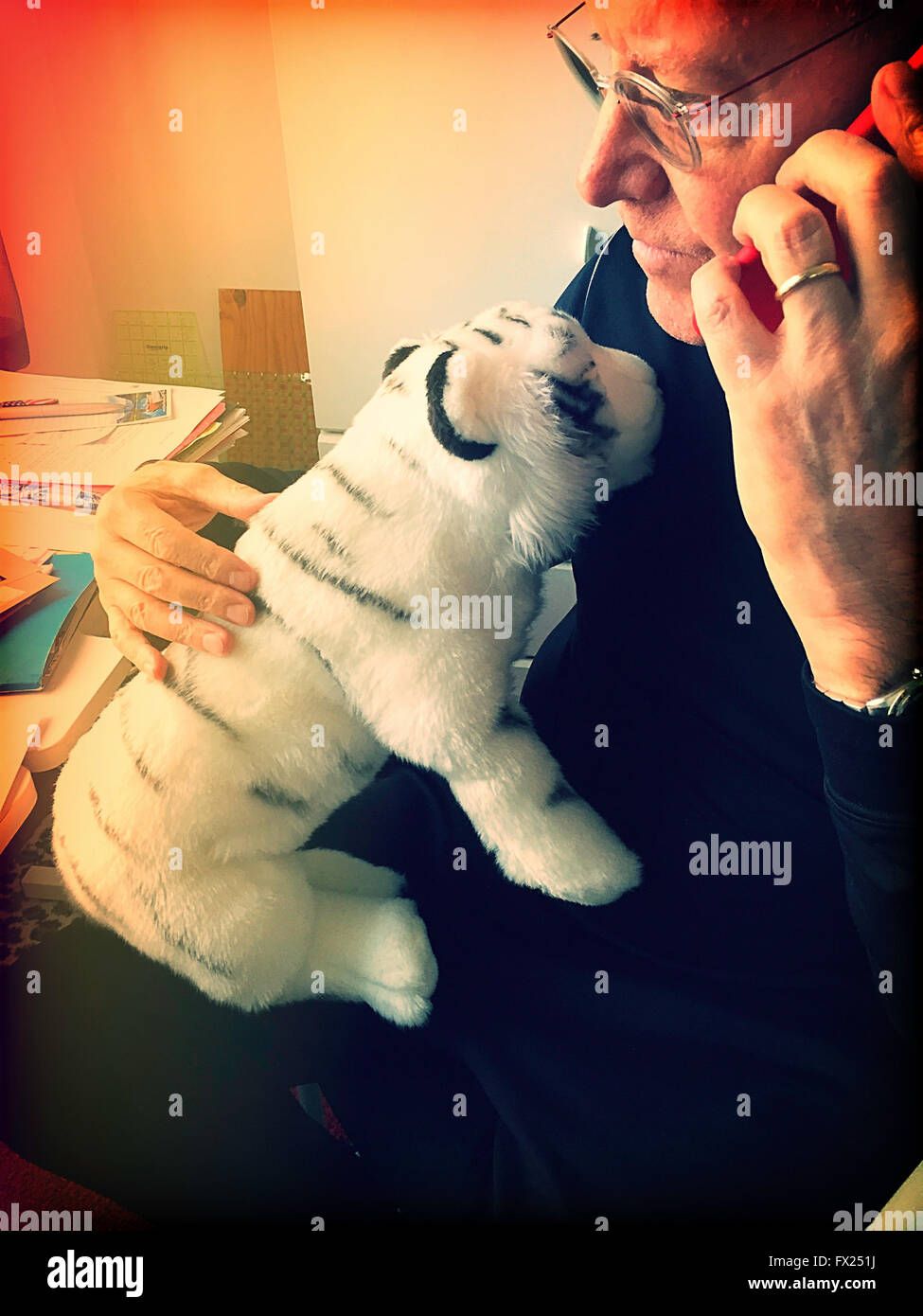 Senior Man Talking on Phone with Stuffed Tiger in Lap, USA Stock Photo ...