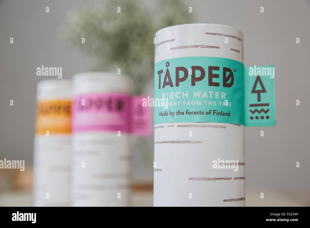 Tapped Birch water cartons on a wooden kitchen table in natural light ...