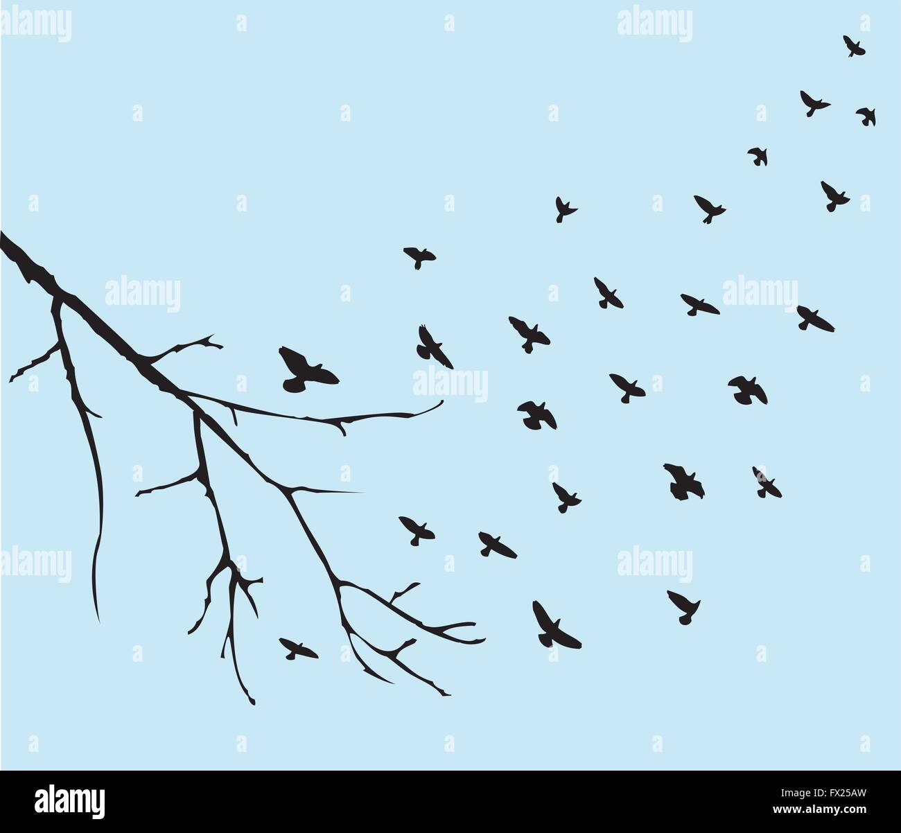 Bird collage Stock Vector Images - Alamy