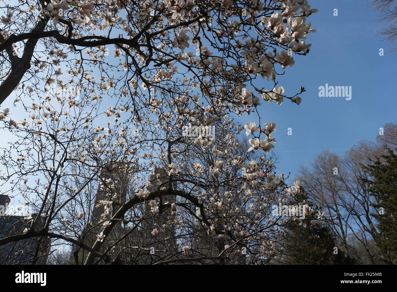Buildings with flowers hi-res stock photography and images - Alamy