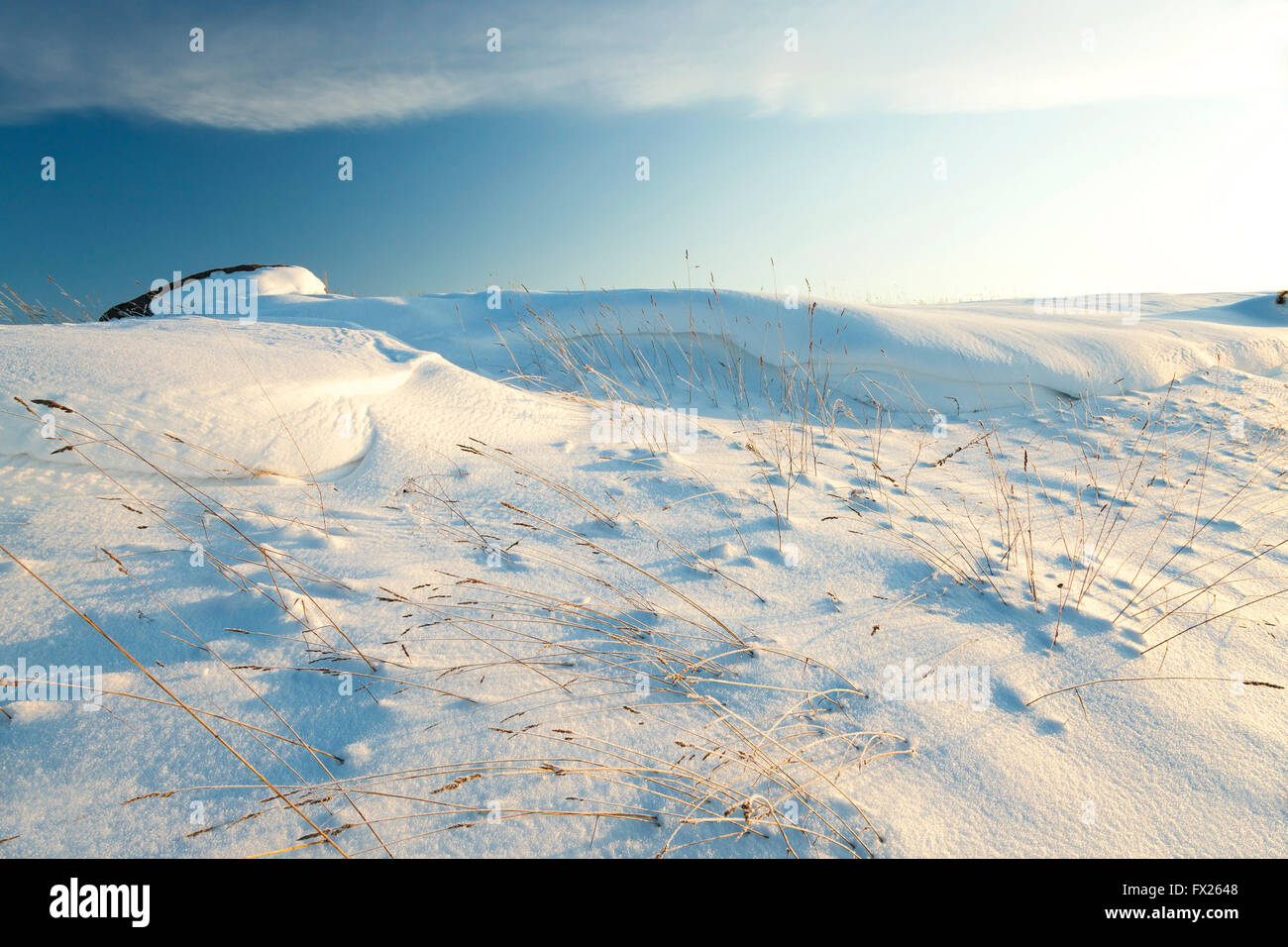 the field covered with snow Stock Photo - Alamy