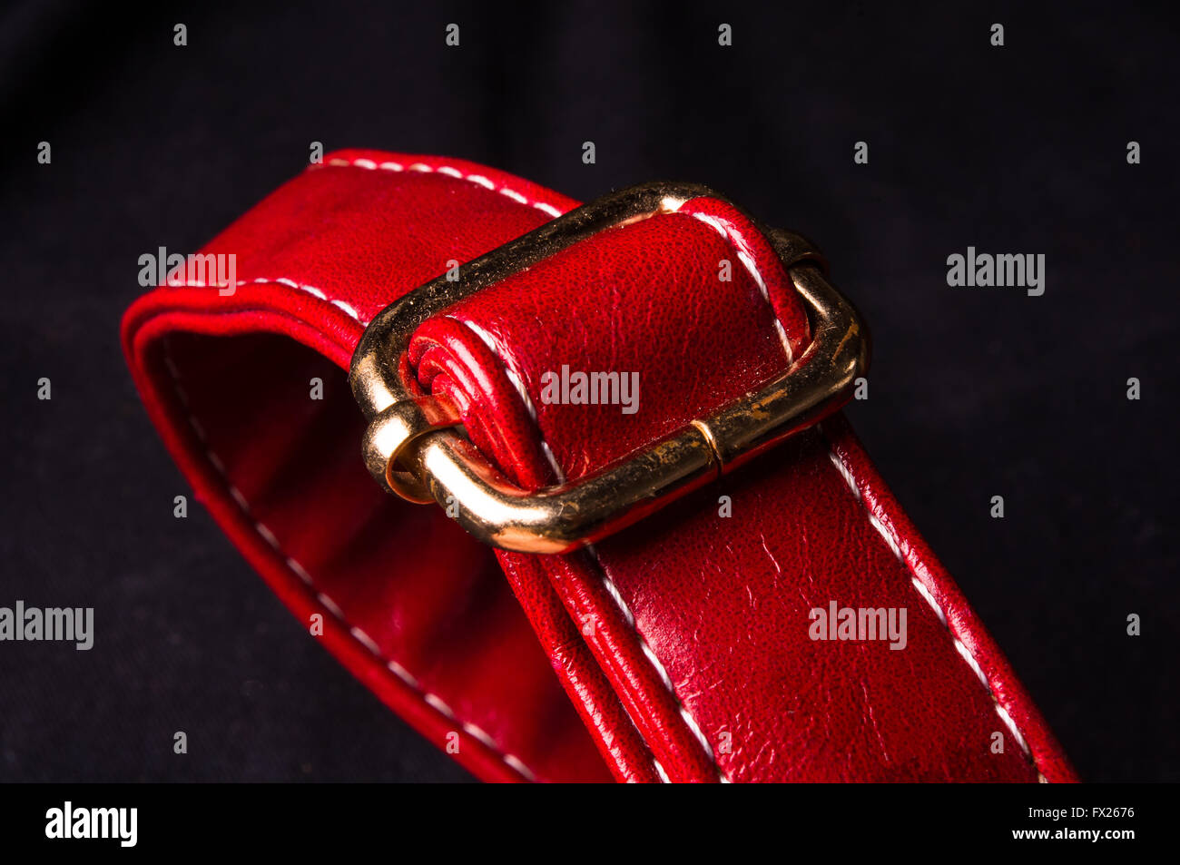 closeup of the red leather strap with yellow metal buckle Stock Photo ...