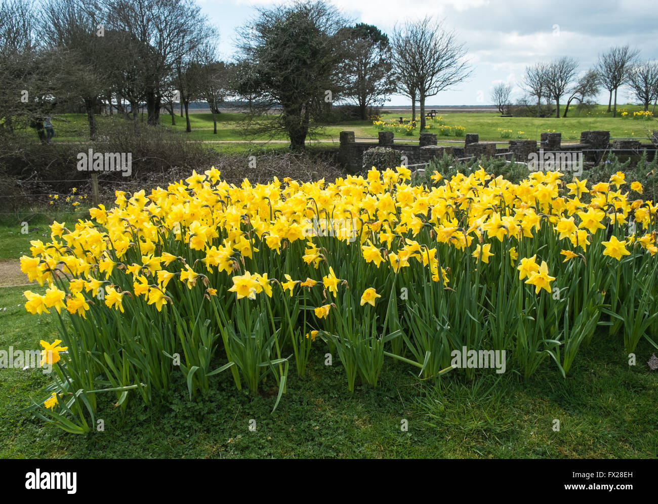 Kidwelly quay hi-res stock photography and images - Alamy