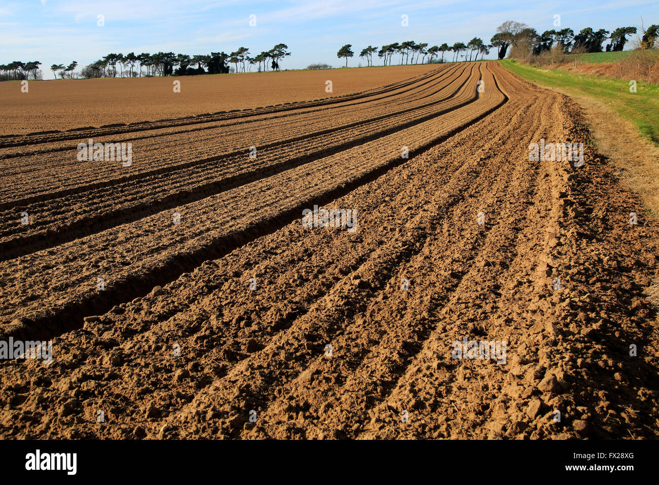 Tilled soil hi-res stock photography and images - Alamy