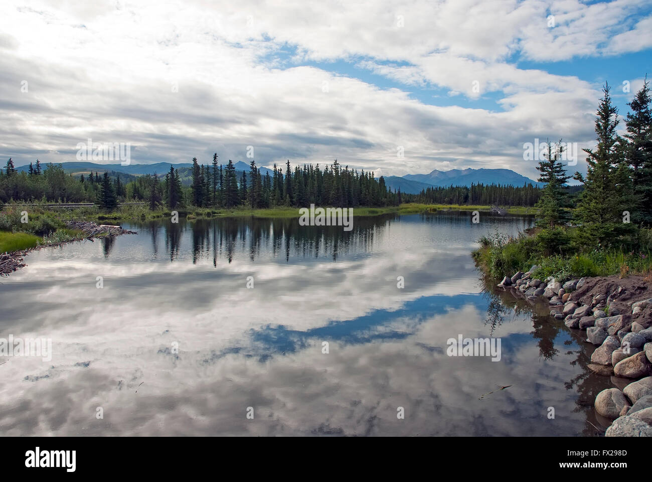 Reflection in a lake, Alaska, USA Stock Photo - Alamy