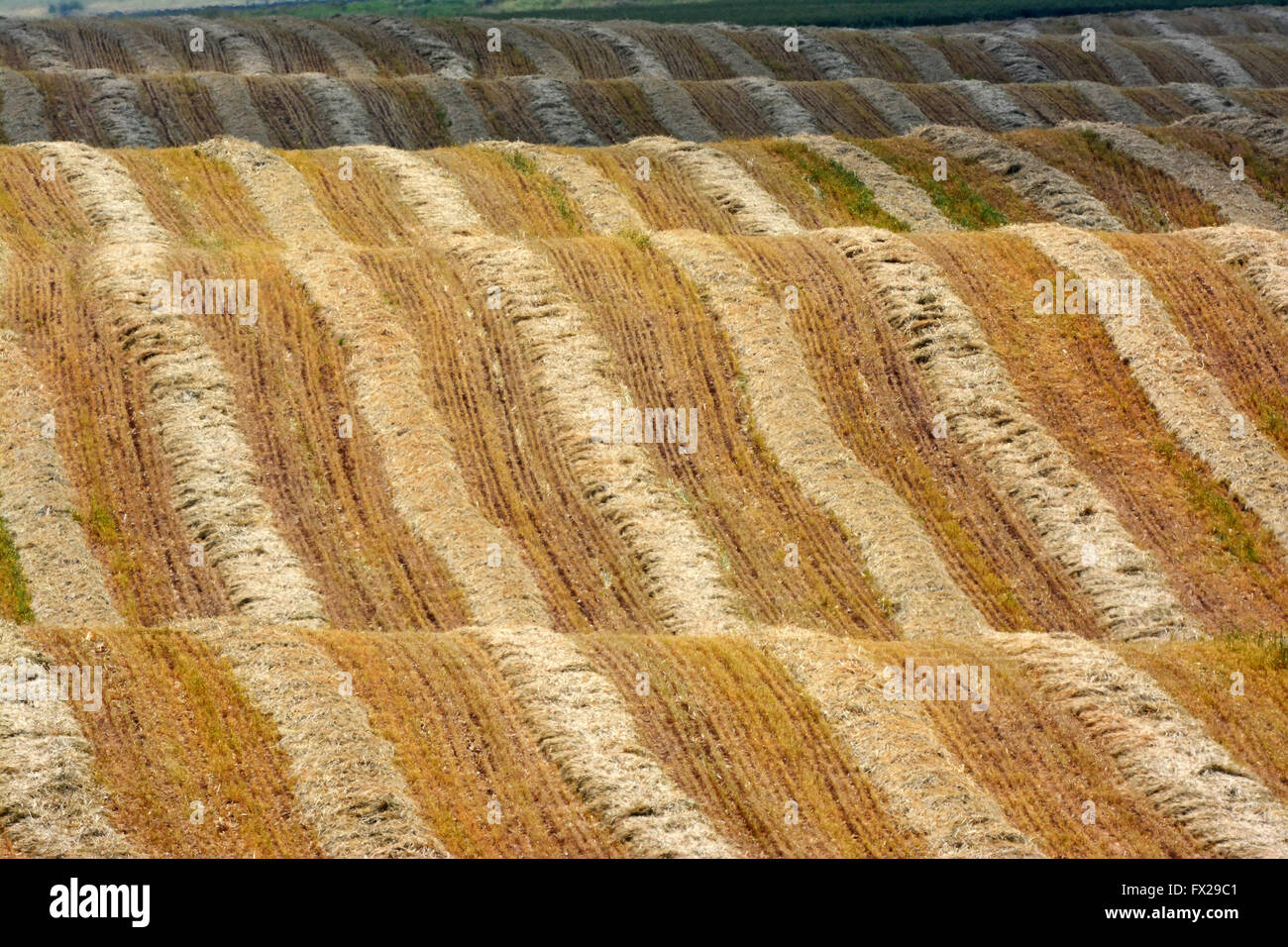 Field fields pattern hi-res stock photography and images - Alamy