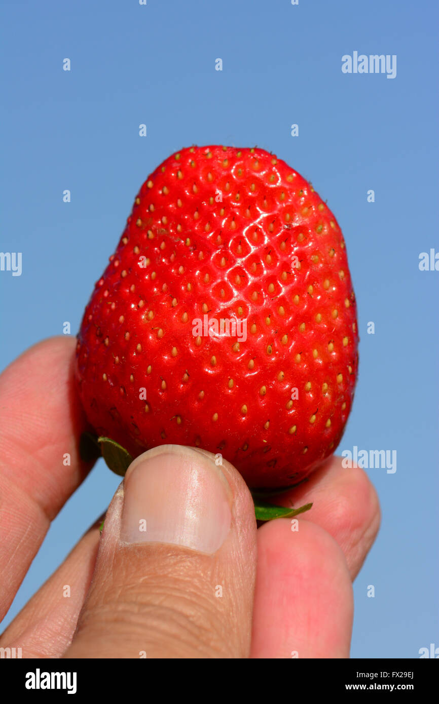 Vertical hand hi-res stock photography and images - Alamy