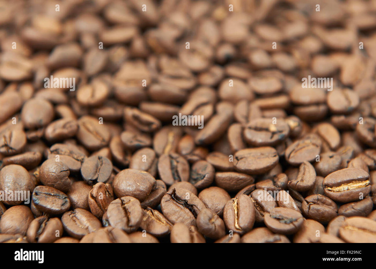Closeup image of light roasted coffee beans Stock Photo - Alamy