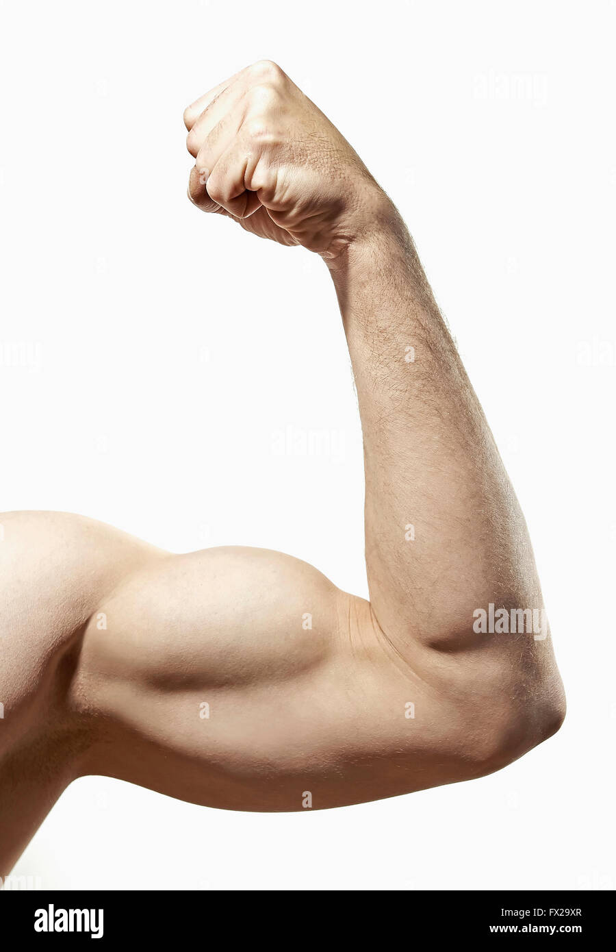 Closeup of a person flexing his biceps Stock Photo - Alamy