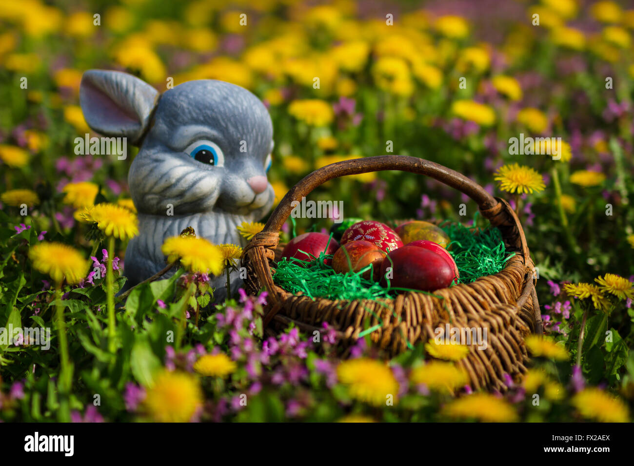 Spring flowers meadow rabbit hi-res stock photography and images - Alamy