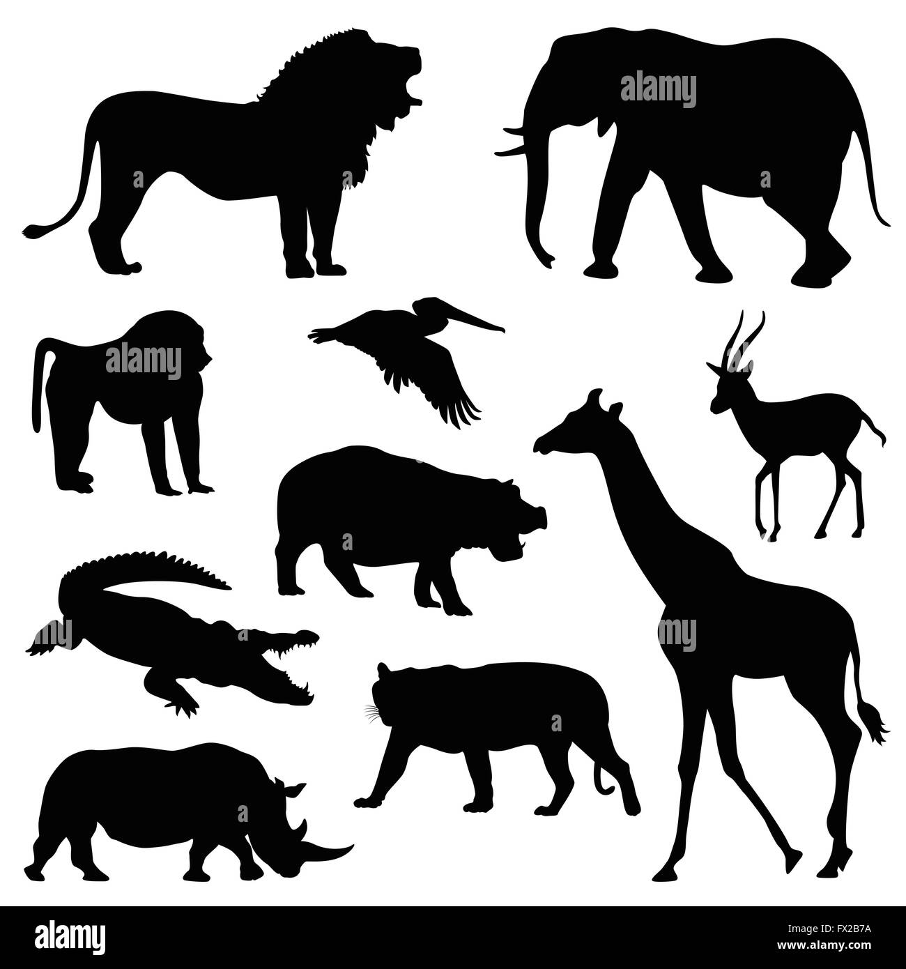 Set african animals illustration Black and White Stock Photos & Images ...