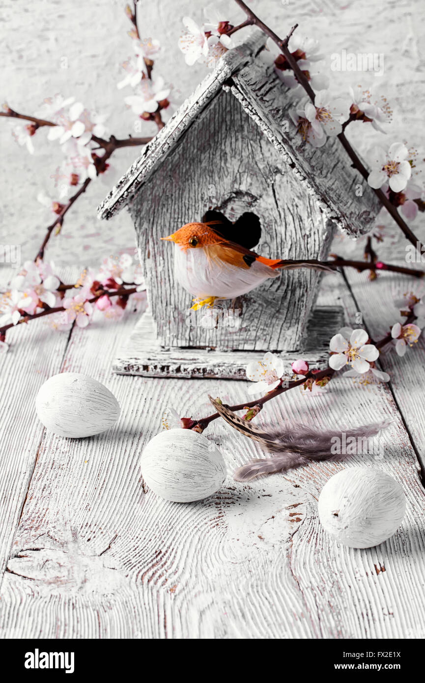 Symbolic bird at the birdhouse in the branches of a blossoming apricot ...