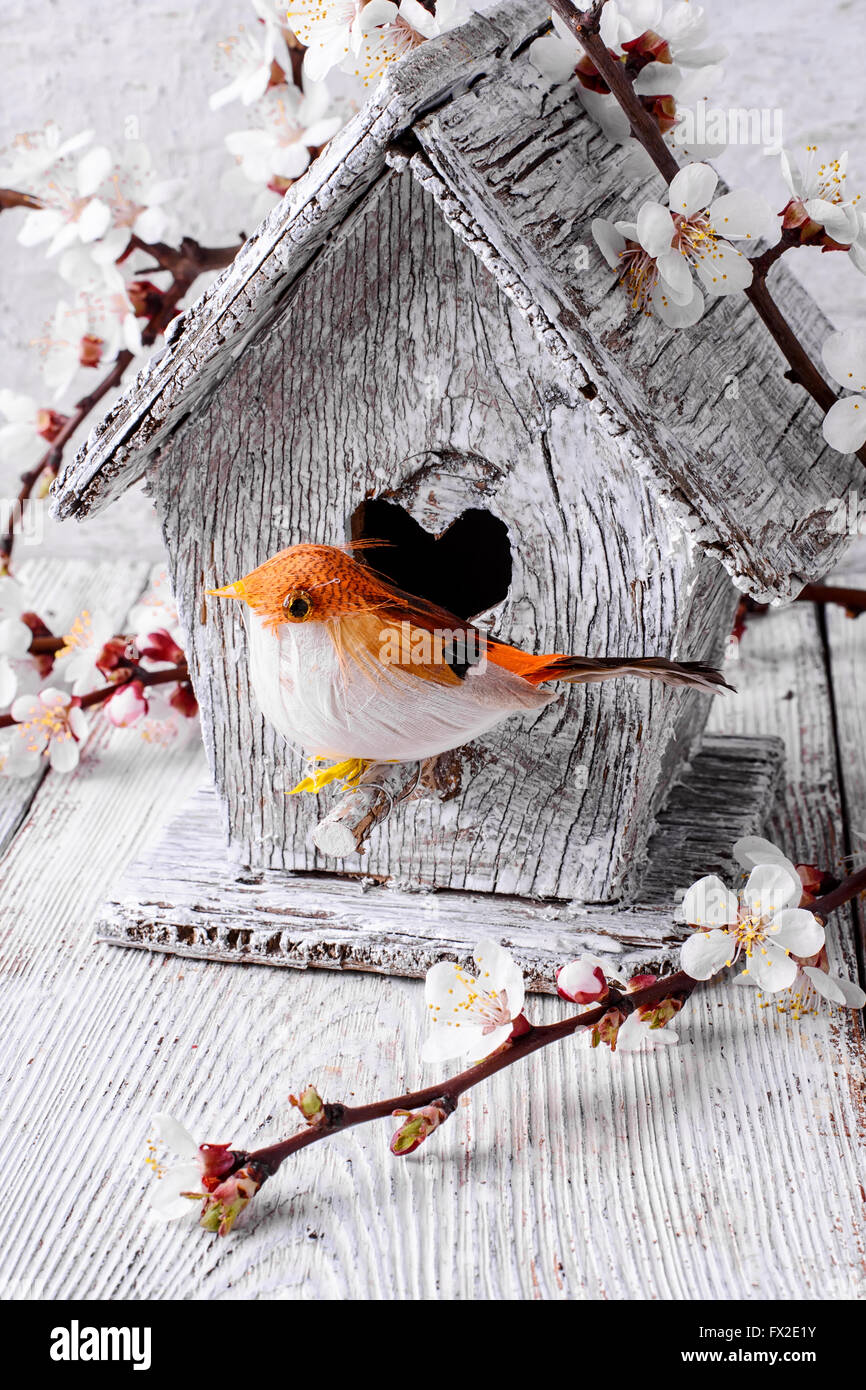 Symbolic bird at the birdhouse in the branches of a blossoming apricot ...