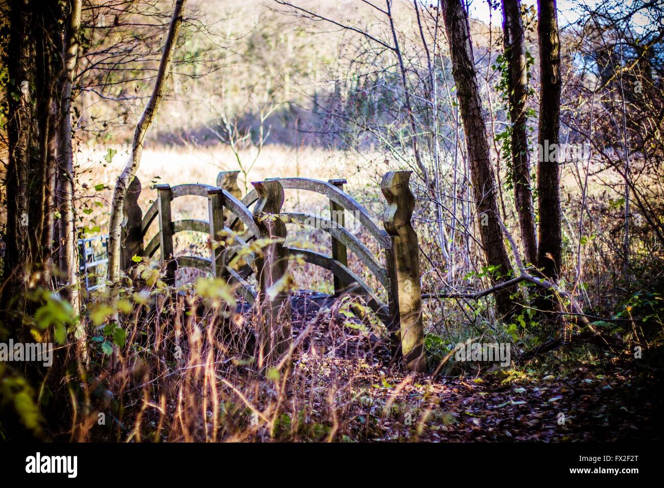 Footpath bridge to cross a small brook Stock Photo - Alamy