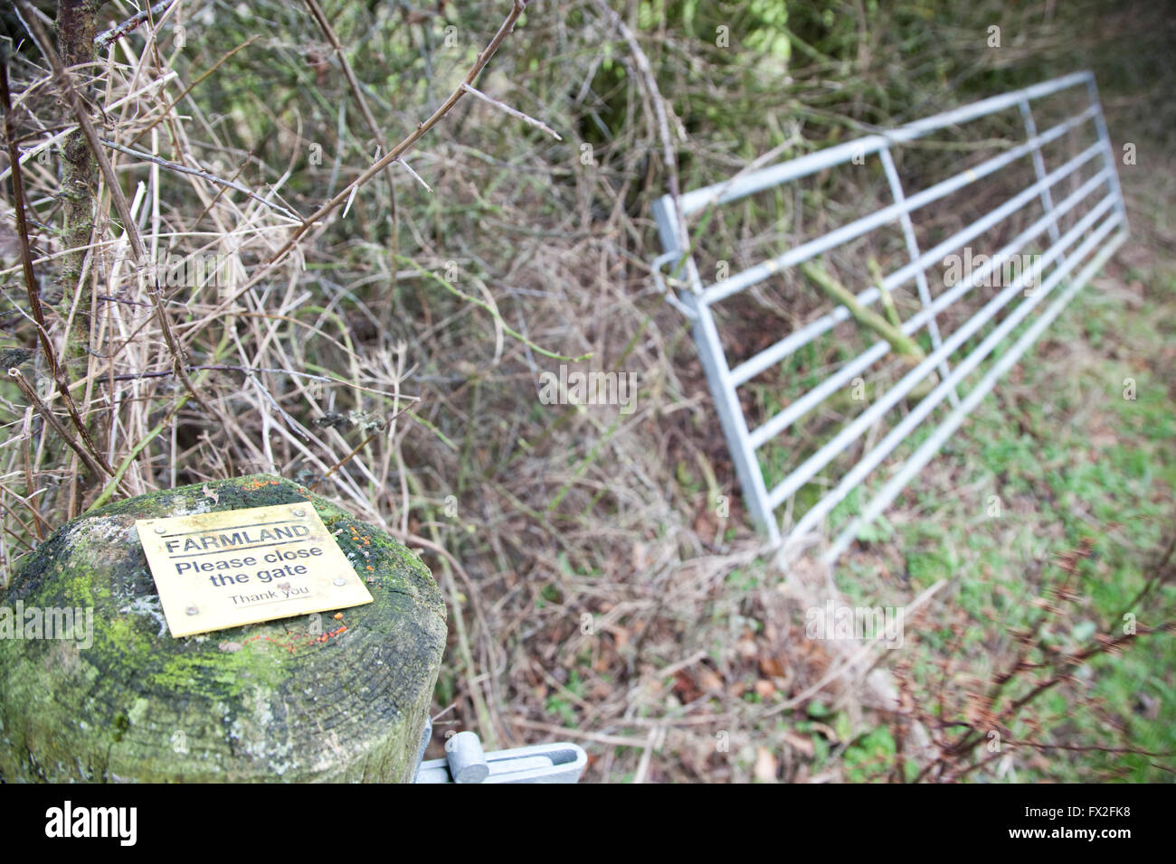 Farm gate broken Stock Photo - Alamy