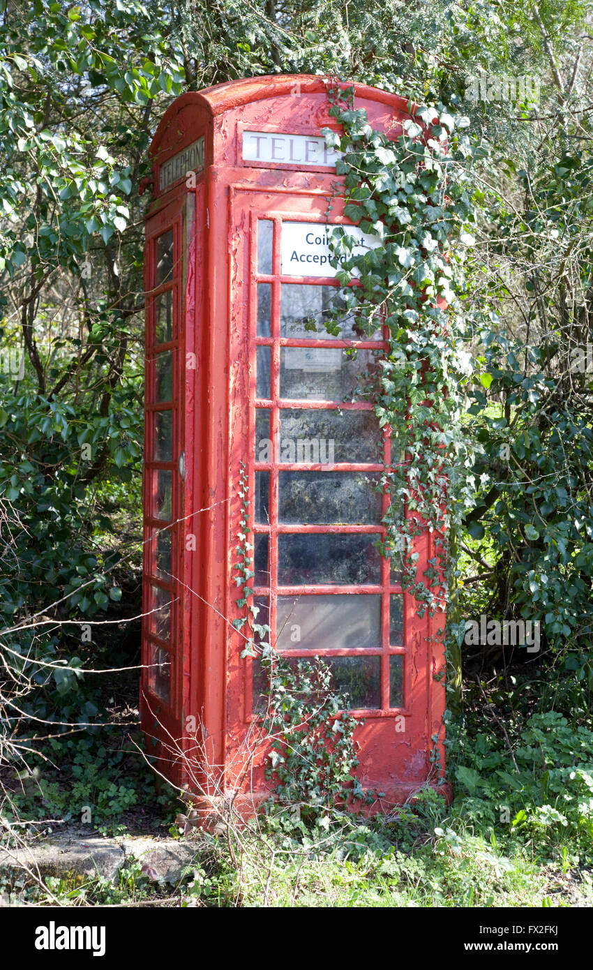 Overgrown red telephone box Stock Photo - Alamy