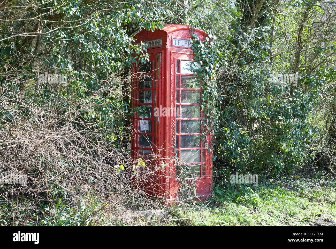 Overgrown red telephone box Stock Photo - Alamy