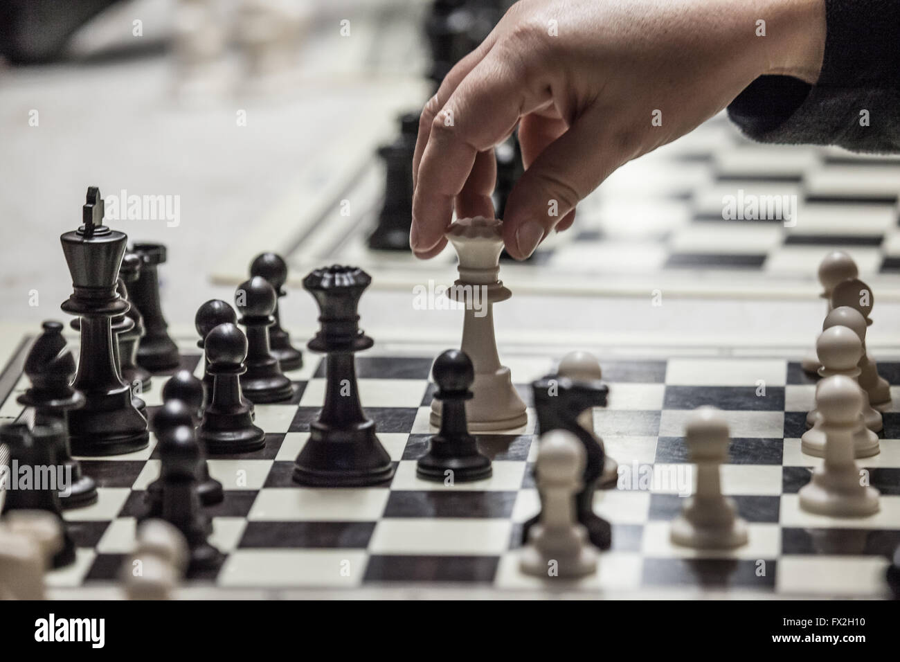 people playing chess Stock Photo - Alamy