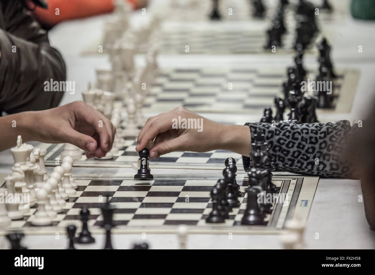 people playing chess Stock Photo - Alamy