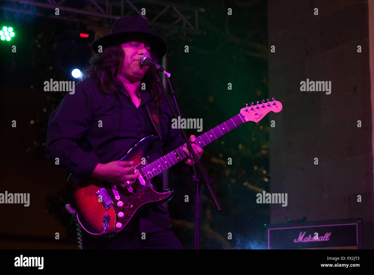 rock musician playing a Fender Stratocaster electric guitar during the ...