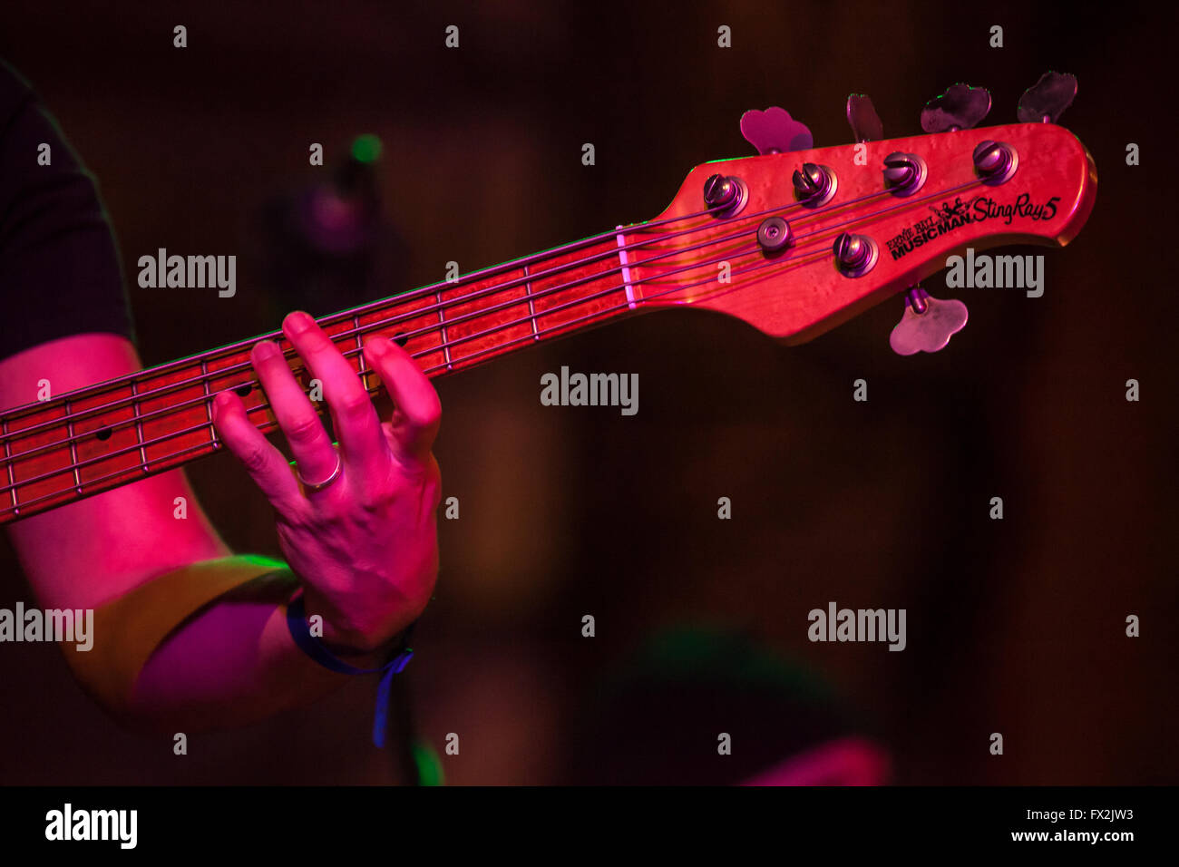 rock musician playing a Fender Stratocaster electric guitar during the ...