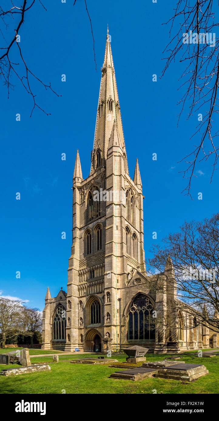 Wulframs hi-res stock photography and images - Alamy