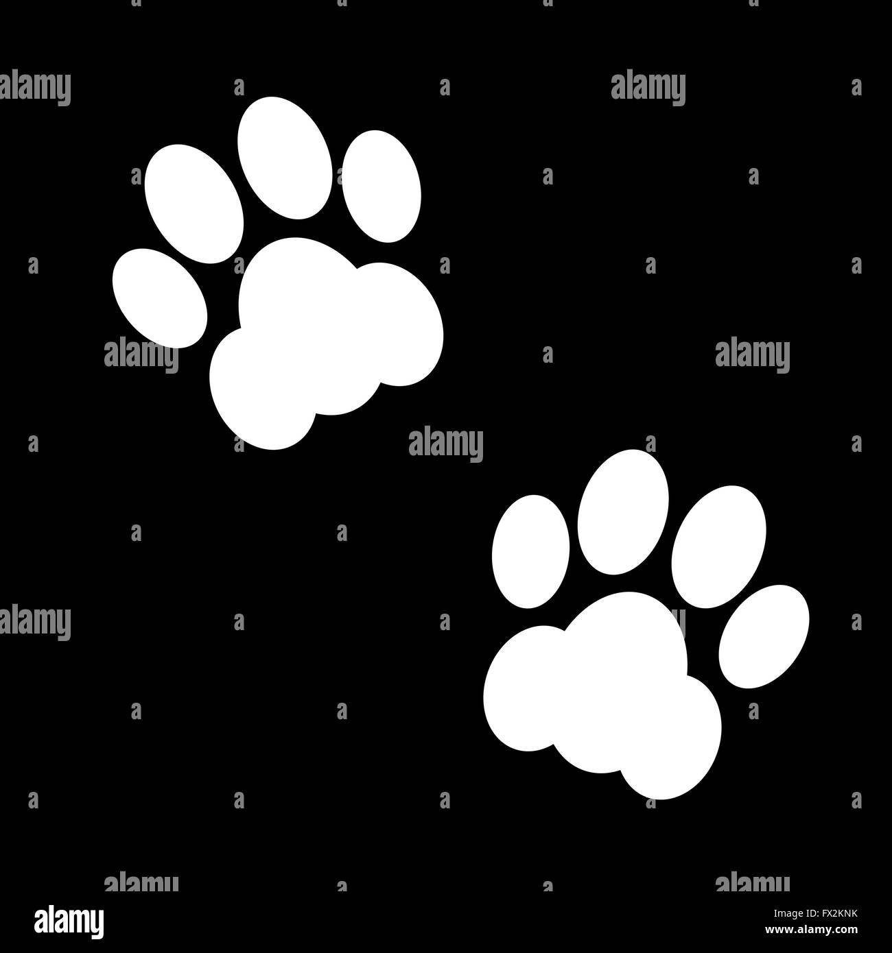 Tiger footstep hi-res stock photography and images - Alamy