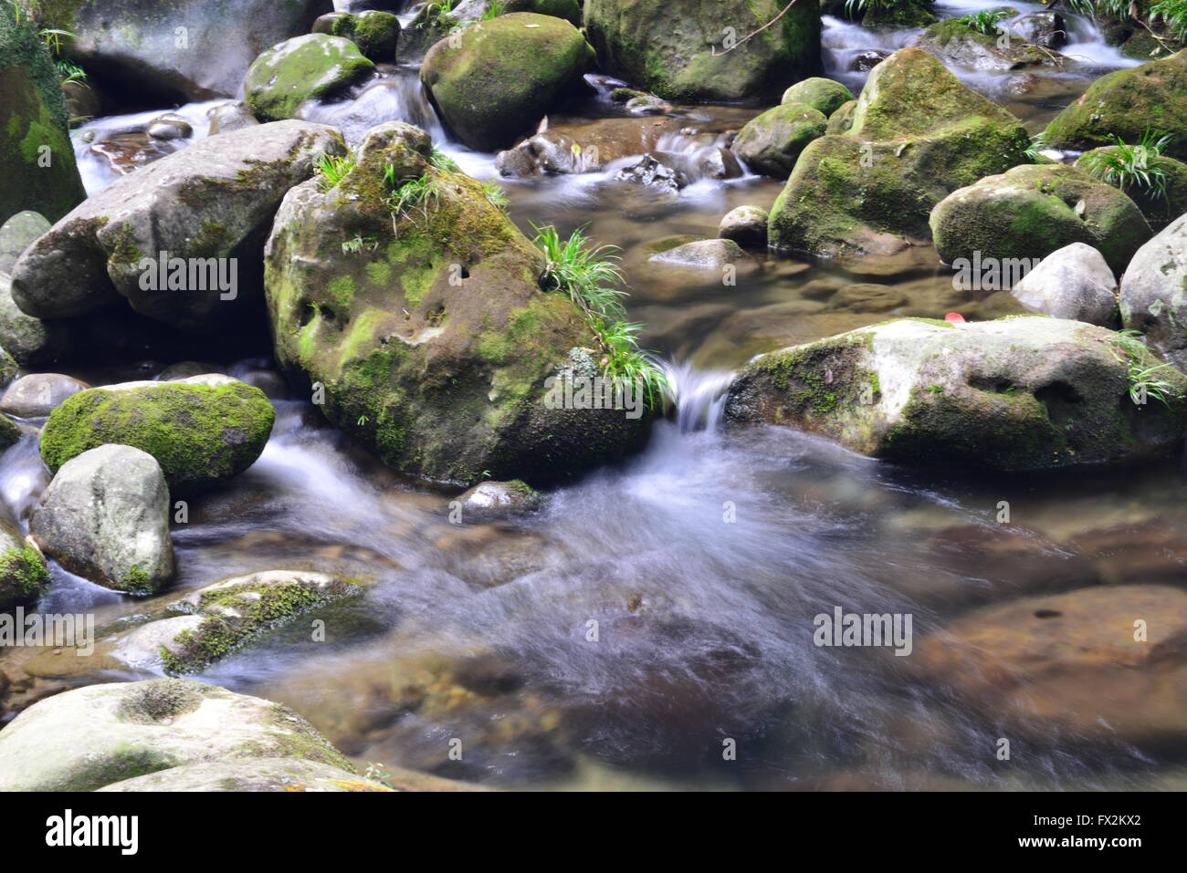beach / realx Stock Photo - Alamy