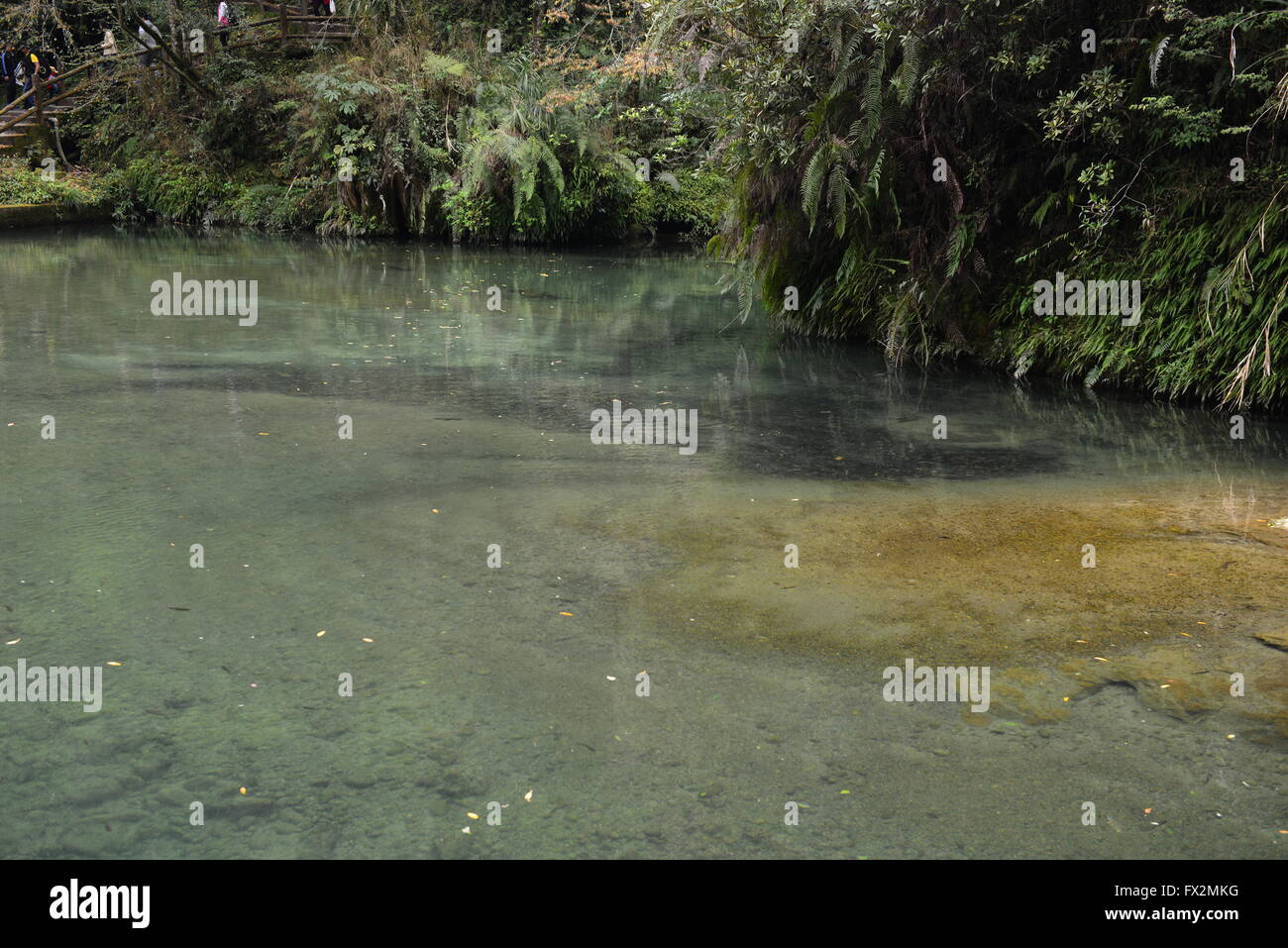 beach / realx Stock Photo - Alamy