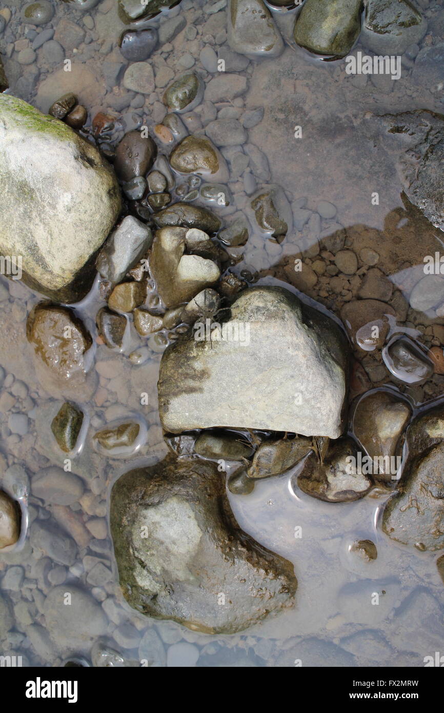 beach / realx Stock Photo - Alamy