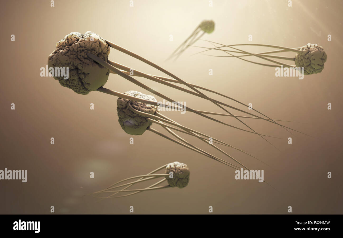 Digital image of viruses floating in liquid space Stock Photo - Alamy