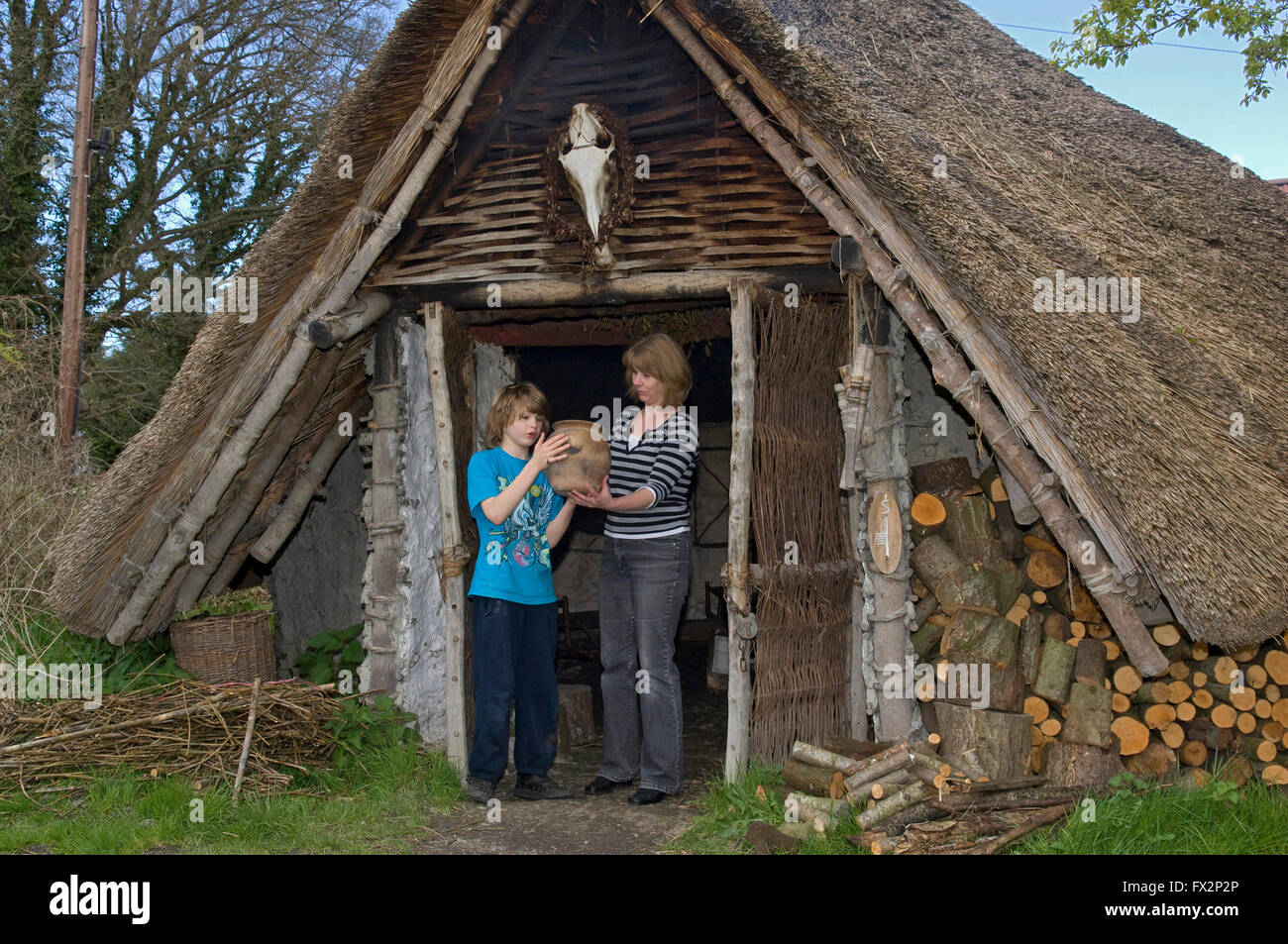Shapwick heath walkway hi-res stock photography and images - Alamy
