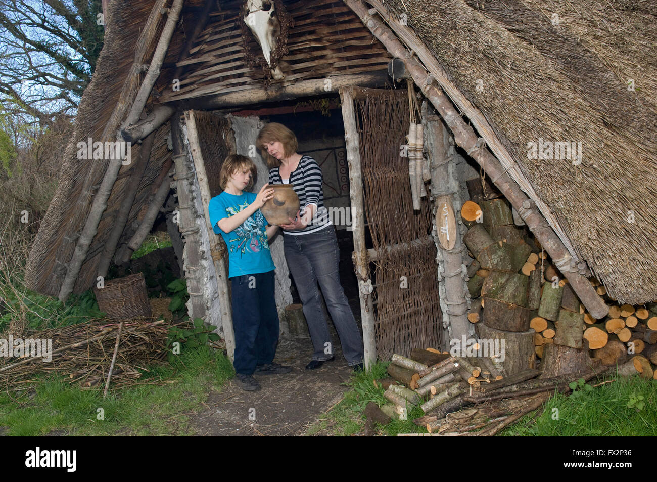 Shapwick heath walkway hi-res stock photography and images - Alamy