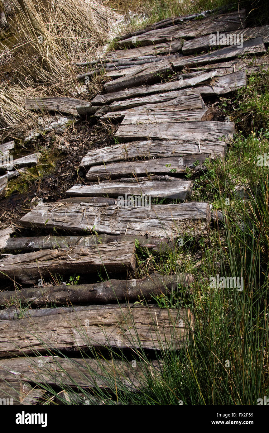 Sweet track somerset hi-res stock photography and images - Alamy