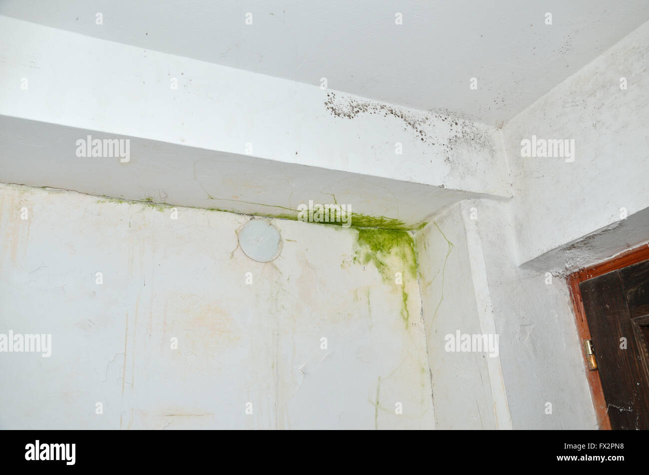 Damp ceiling and wall hi-res stock photography and images - Alamy