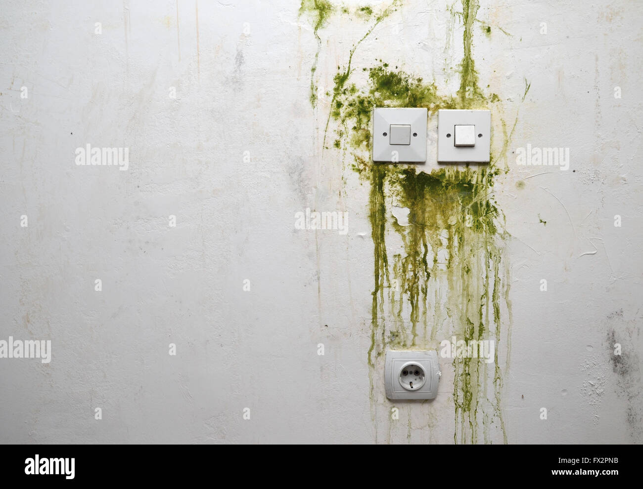 Green mold on white wall with switch sockets and power plug Stock Photo ...