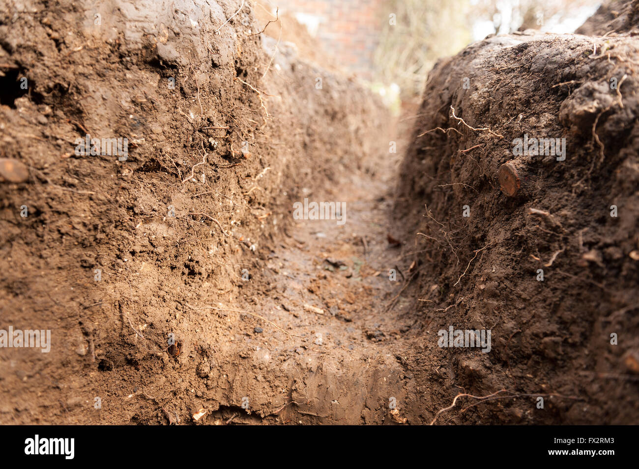 digging a long trench run for a rainwater soakaway from a domestic ...