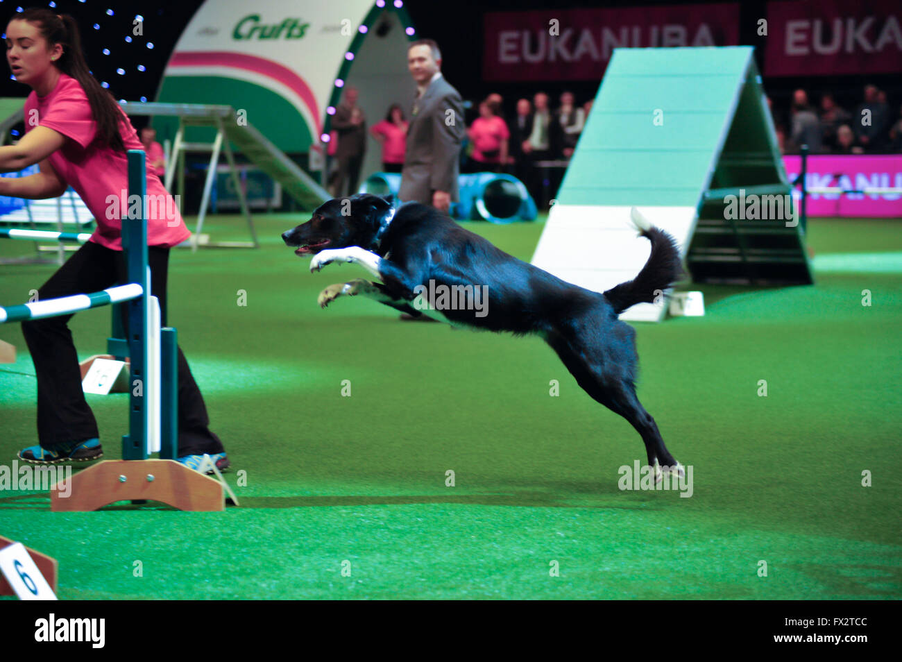 Crufts 2016 - Day 1 Featuring: Rachel Gilmour, GlenandSues Winning Tip Where: Birmingham, United ...