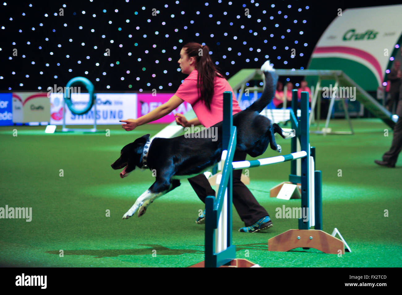 Crufts 2016 - Day 1 Featuring: Rachel Gilmour, GlenandSues Winning Tip Where: Birmingham, United ...