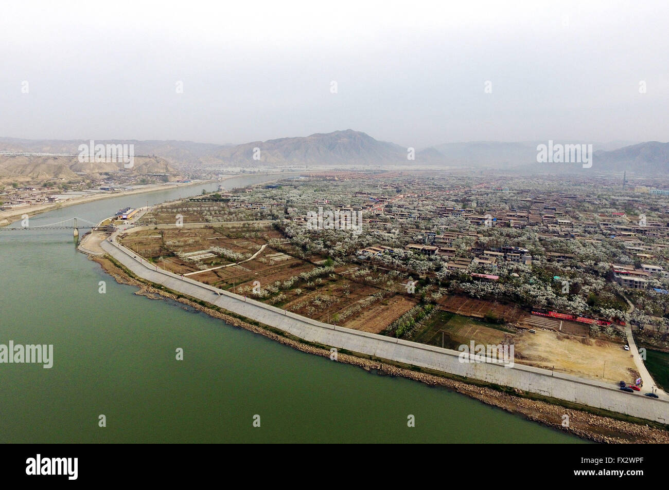 Gaolan, China's Gansu Province. 10th Apr, 2016. Pear flowers are in ...
