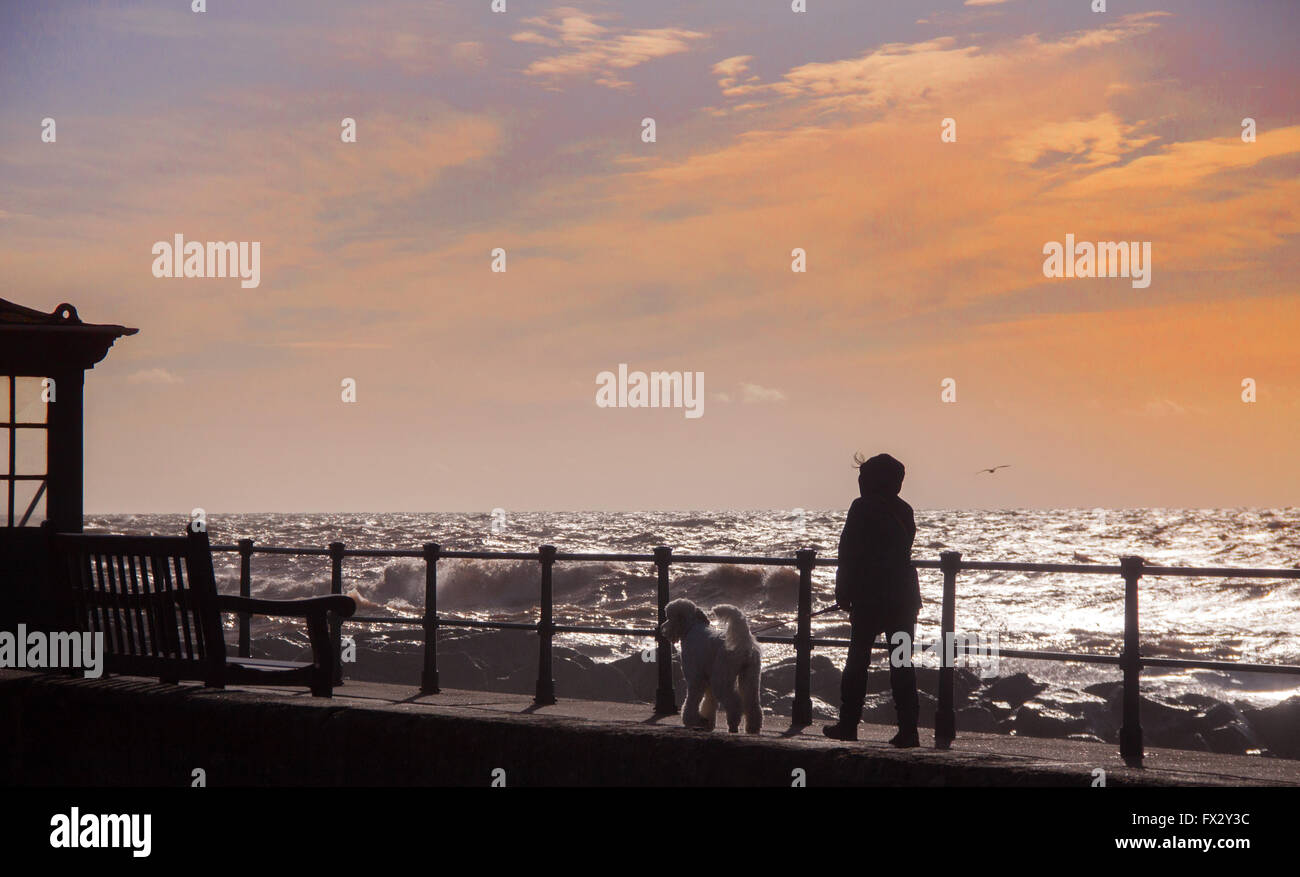 Lady walker her dog hi-res stock photography and images - Alamy